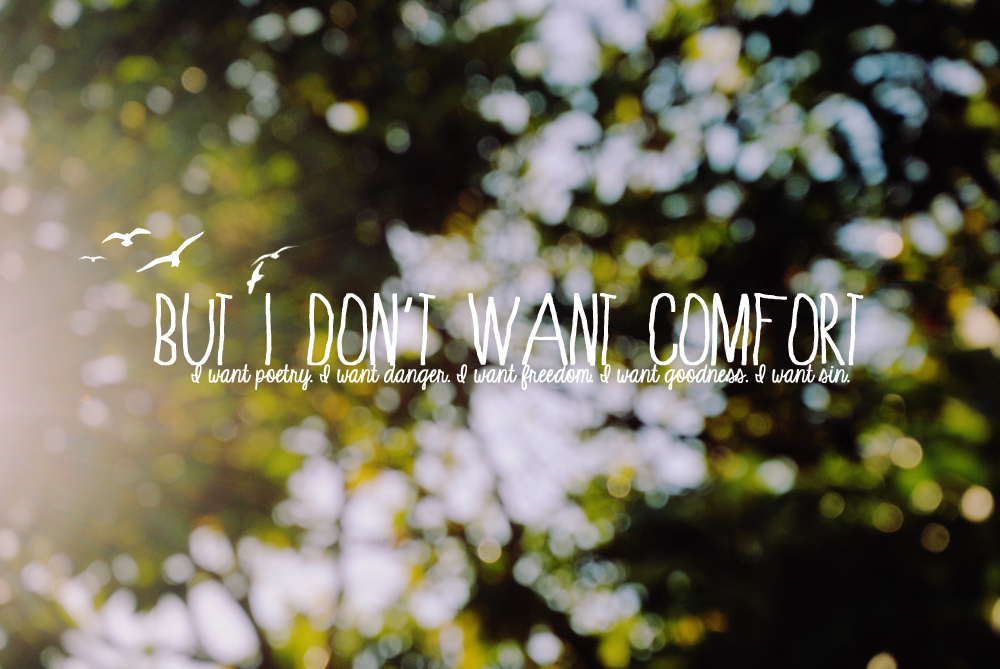 A Post-Modern Portrait – A Poem – ALONG THE BARREN ROAD