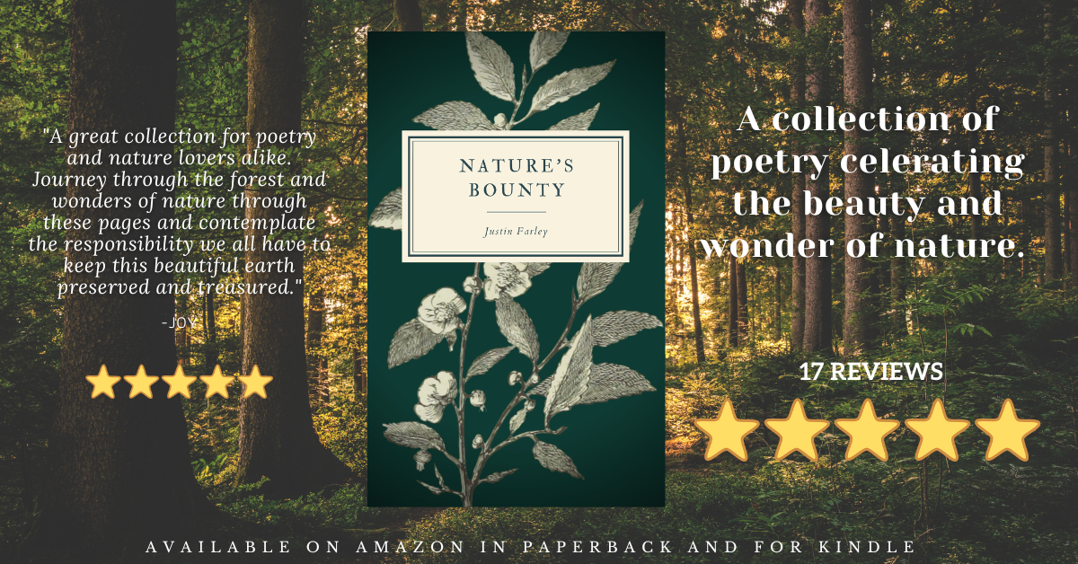 Nature Poem About Walking in the Woods – ALONG THE BARREN ROAD