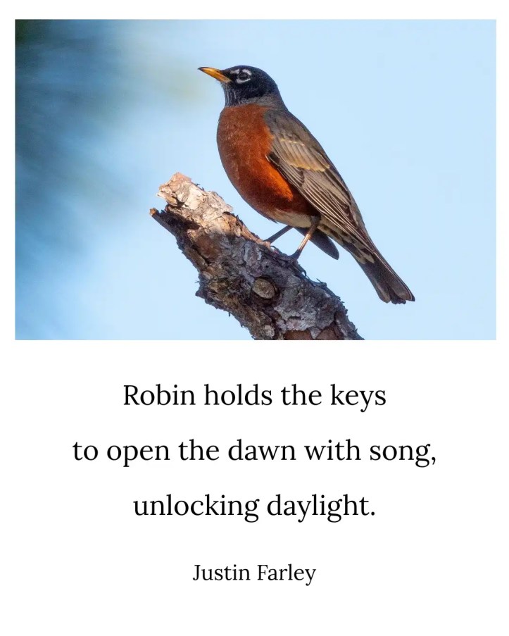 Bird Haiku Poems Inspired by Nature 5 7 5 – ALONG THE BARREN ROAD