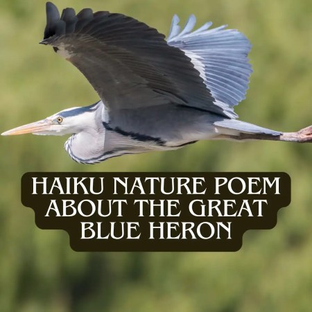 Haiku About Nature – ALONG THE BARREN ROAD