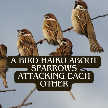 Haiku About Nature – ALONG THE BARREN ROAD