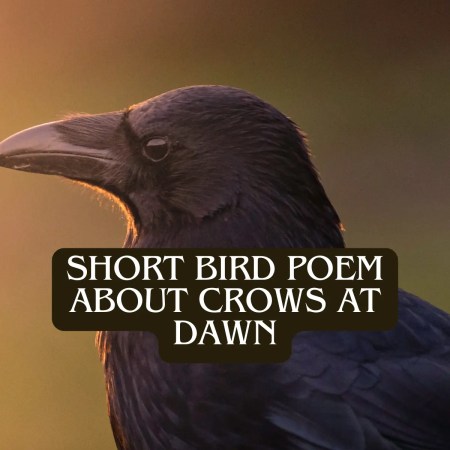 Haiku About Nature – ALONG THE BARREN ROAD